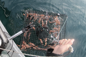 2020 Puget Sound Spot Shrimp Season – PNW BestLife