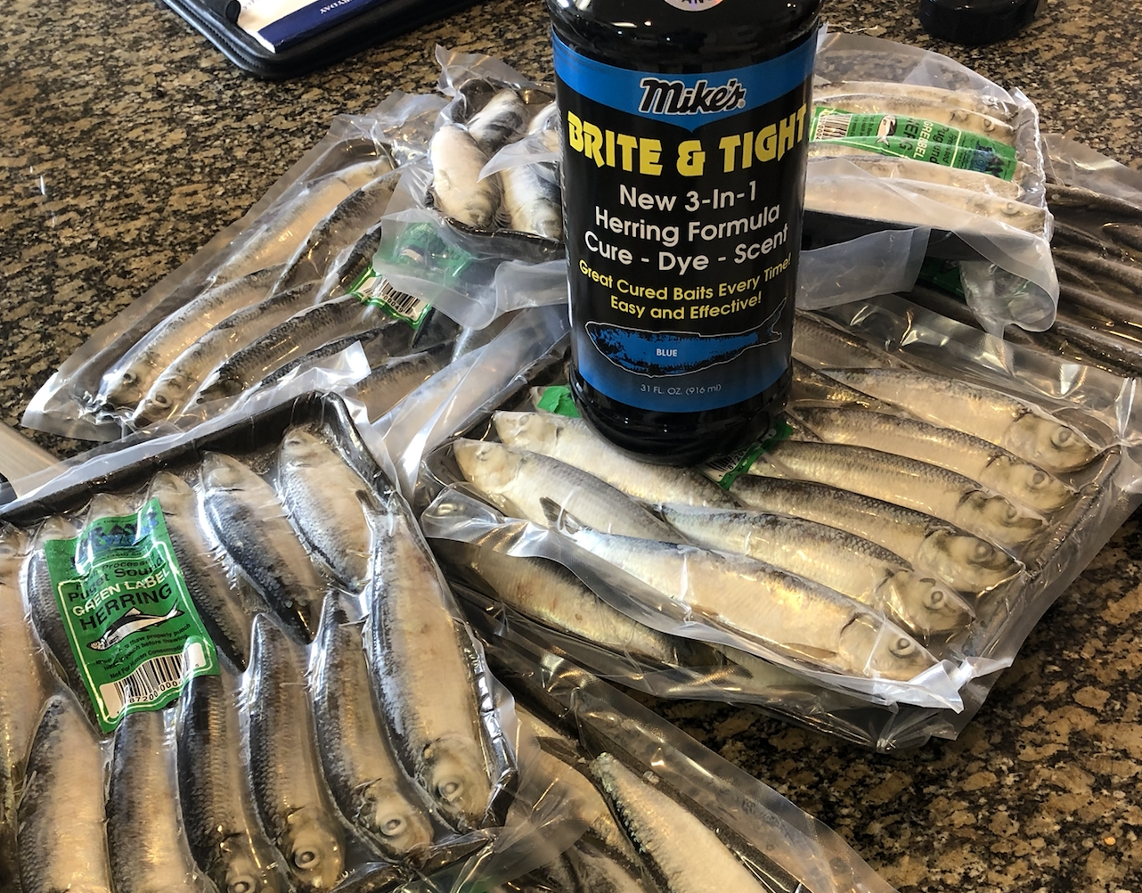 Preparing to fish Columbia River Springers in 2020 – PNW BestLife