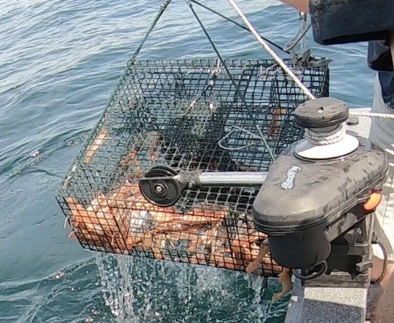 How to Catch Puget Sound Spot Shrimp – PNW BestLife