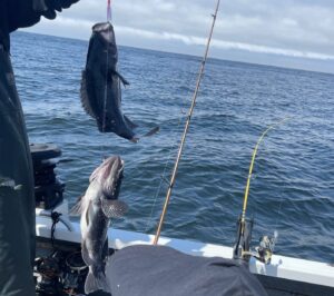 How to Catch Rockfish Quickly – PNW BestLife