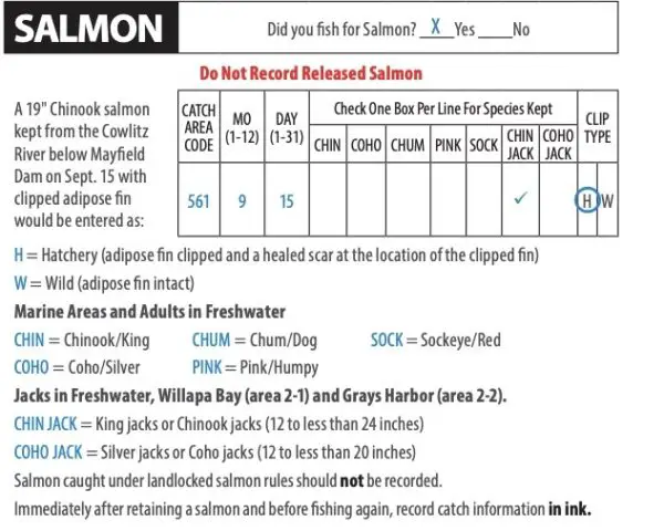 Understanding WDFW Saltwater Salmon Fishing Regulations – PNW BestLife