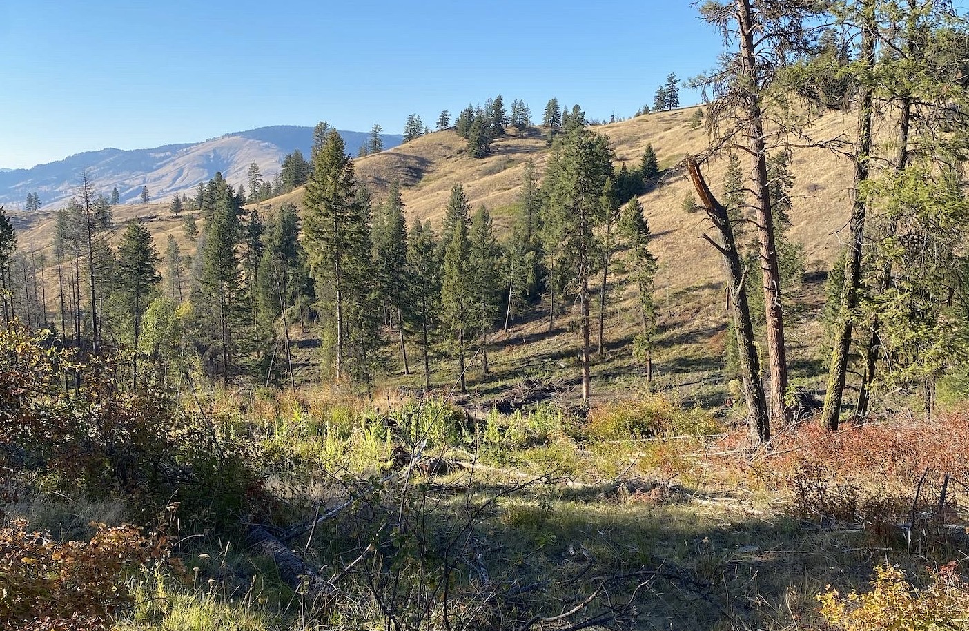 Reviewing my 2022 hunting season – PNW BestLife