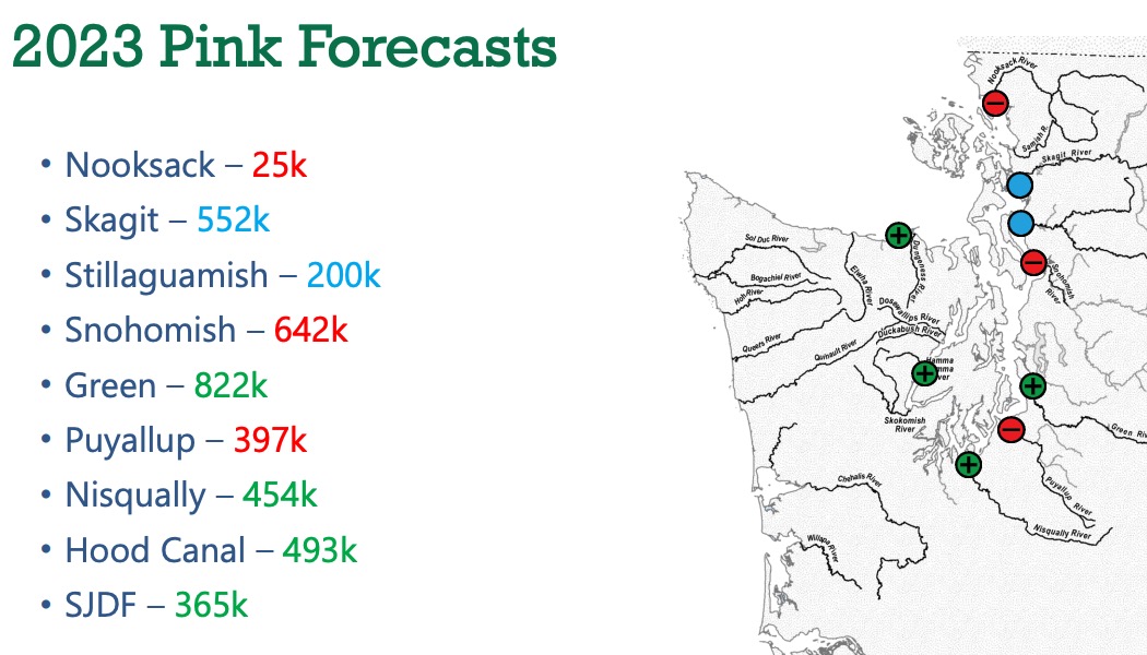 Pink Salmon Run 2023 – PNW BestLife