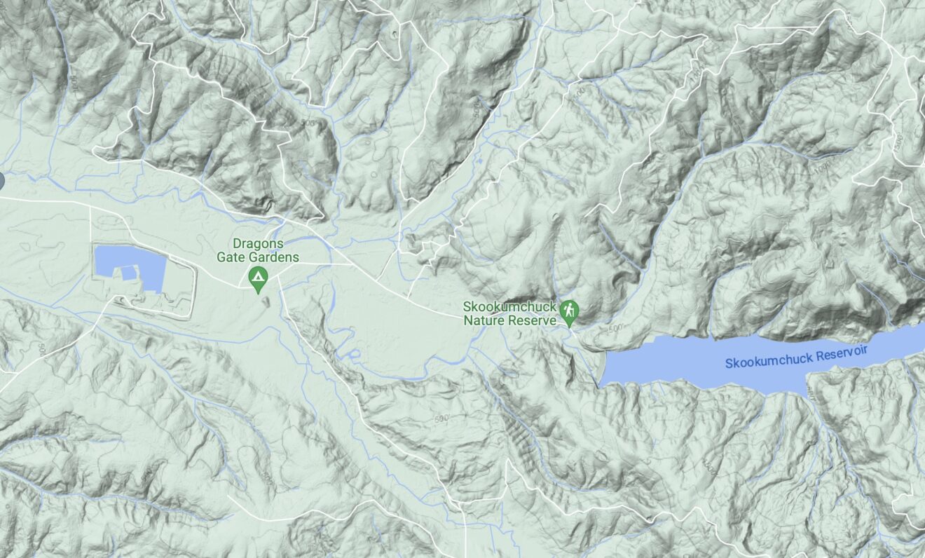 Skookumchuck River Fishing Trip Planning – PNW BestLife