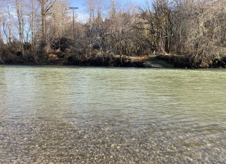 Wynoochee River Fishing Trip Planning – PNW BestLife