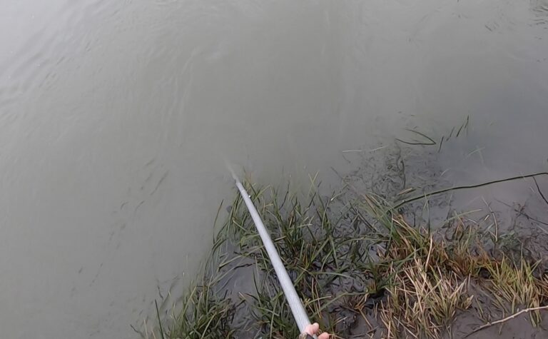 Going Smelt Fishing on the Cowlitz River in 2024 – PNW BestLife