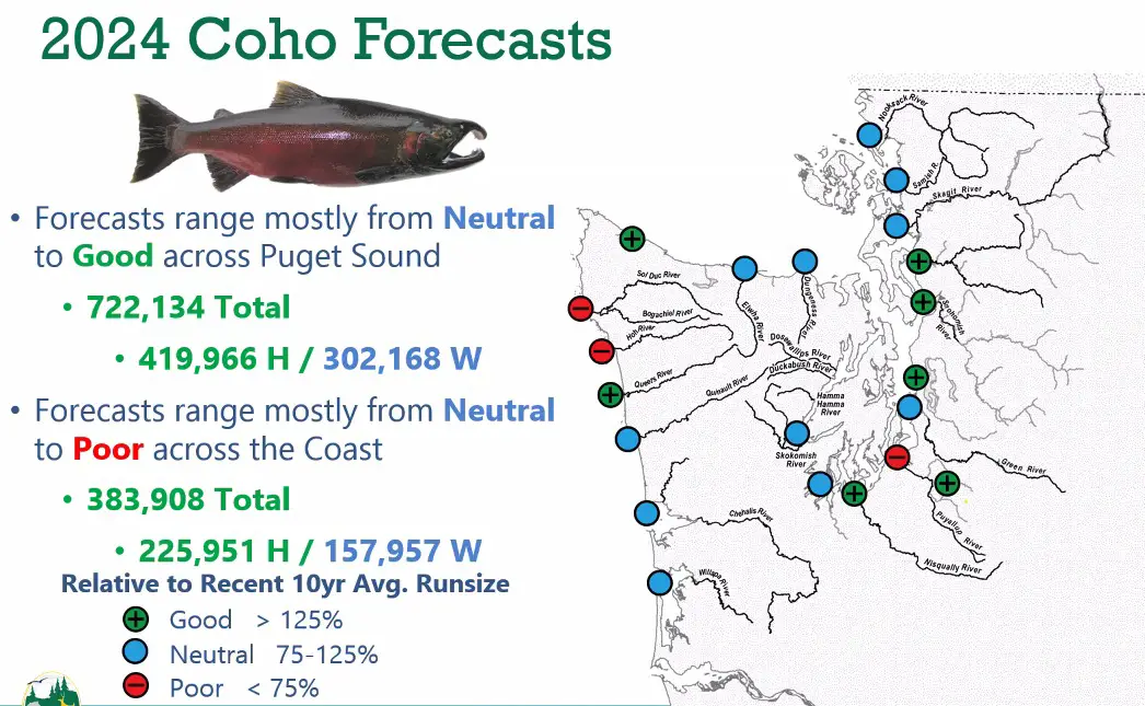 Chehalis River Fishing – PNW BestLife