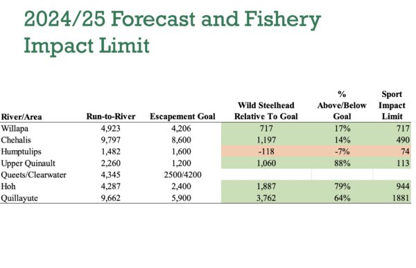 Will we get to fish for Washington Coast Steelhead in 2024-2025 – PNW ...