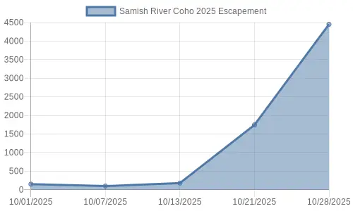 Samish River Fishing – PNW BestLife